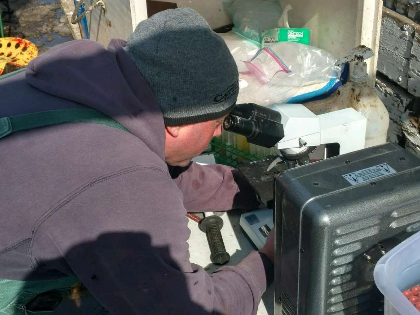 Bull Semen Evaluations | South Dakota | South Dakota: Northwest ...